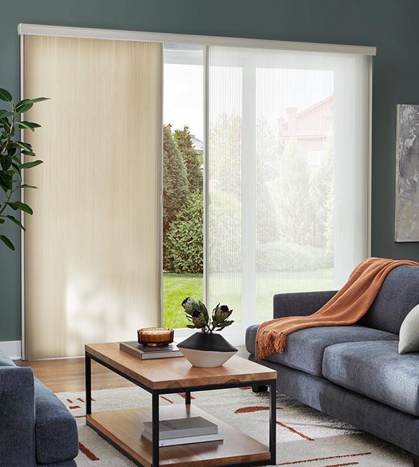 Window Treatments for Doors