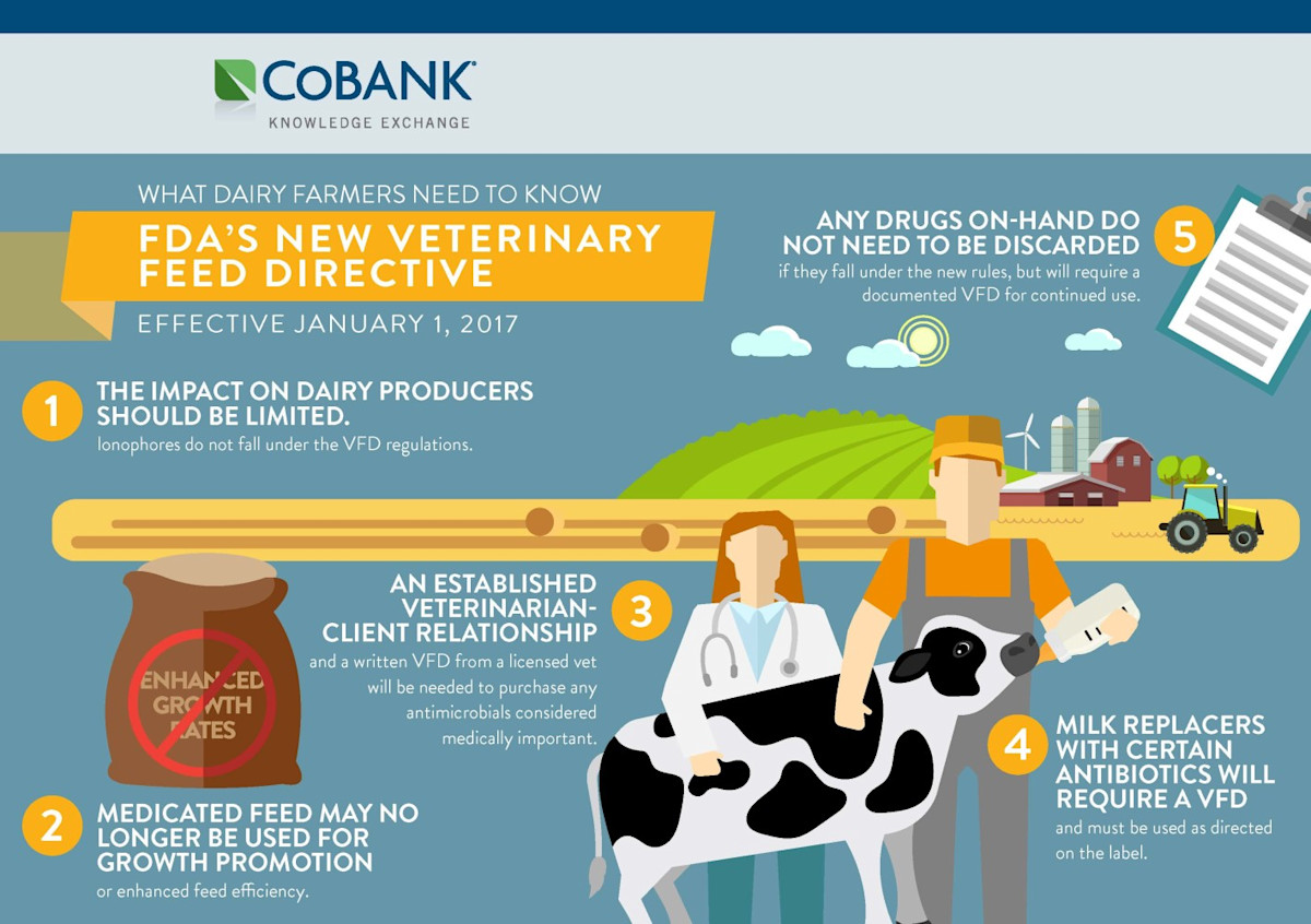 CoBank – Case Study | Watermark Agency