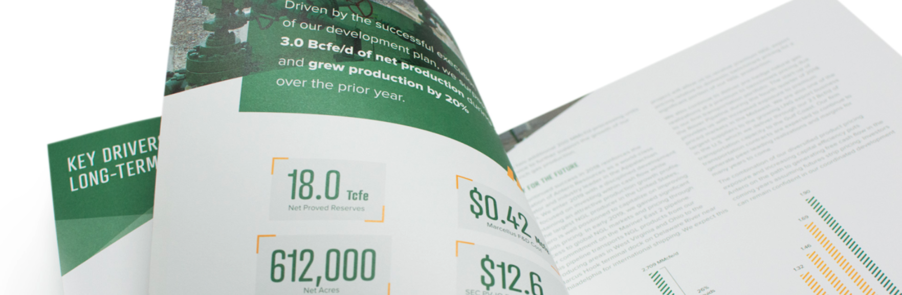 Good and Bad Data Visualization in Business Reporting | Watermark Agency