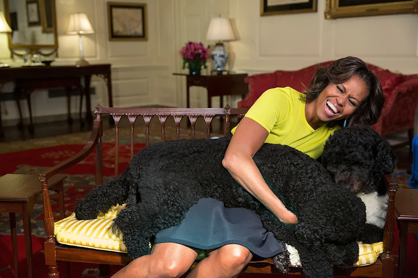 Bo and sunny | The Obama Foundation