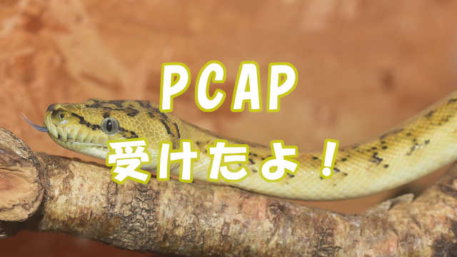 PCAP – Certified Associate in Python Programming を受験した | みどりみちのブログ