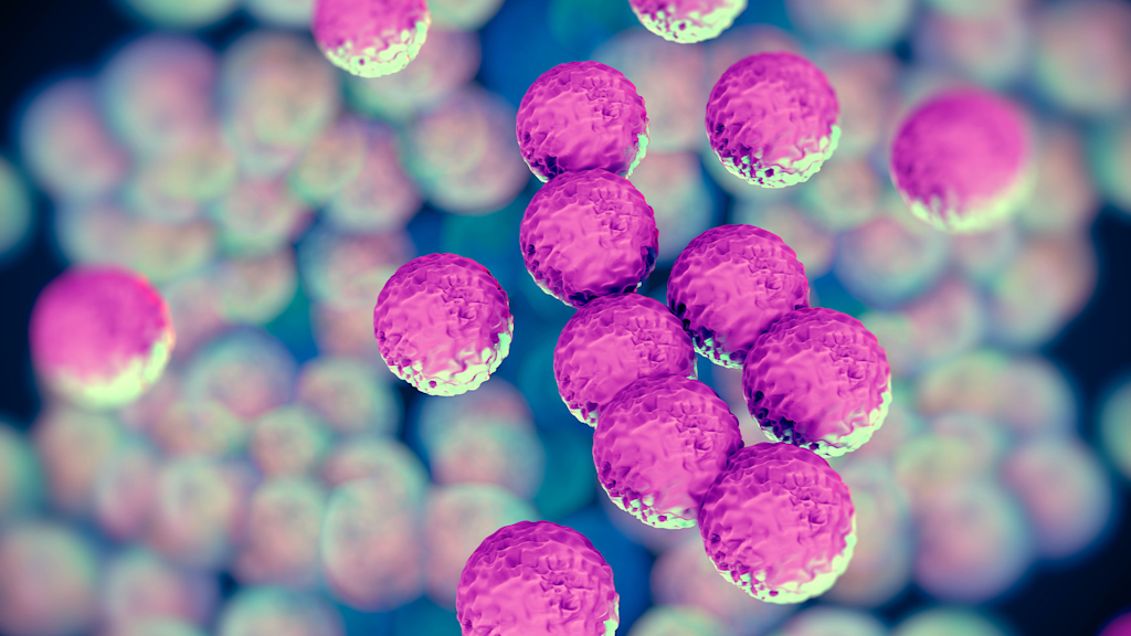 New guidelines published for the management of MRSA | GAMA Healthcare