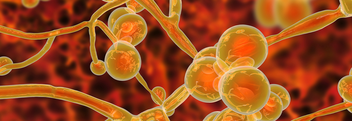 GAMA Healthcare News | Putting disinfectants through their paces using ...