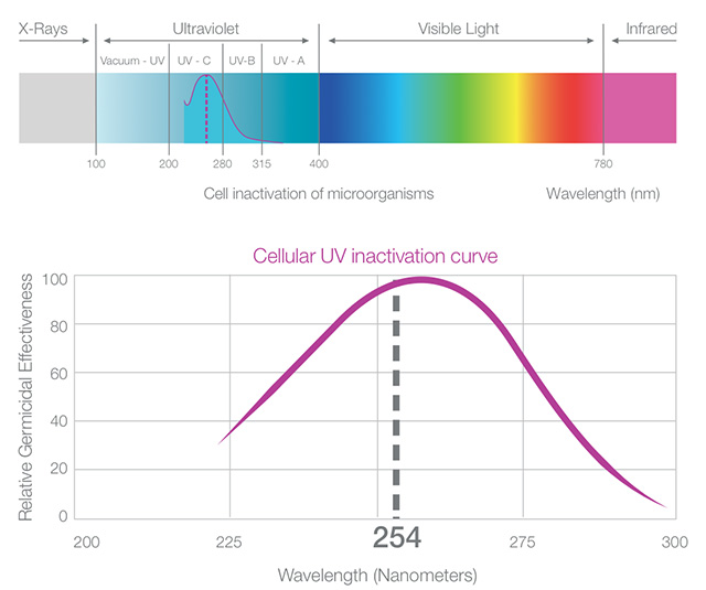 GAMA Healthcare News | UV room decontamination reduces C. difficile transmission