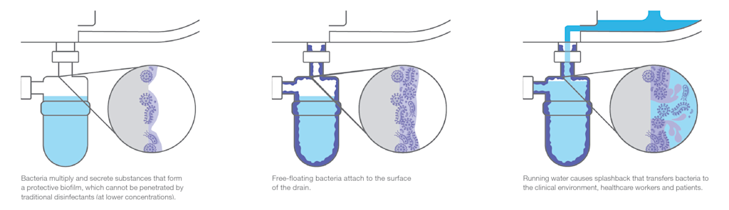 Biofilms and drains in healthcare...don’t let them sink in!