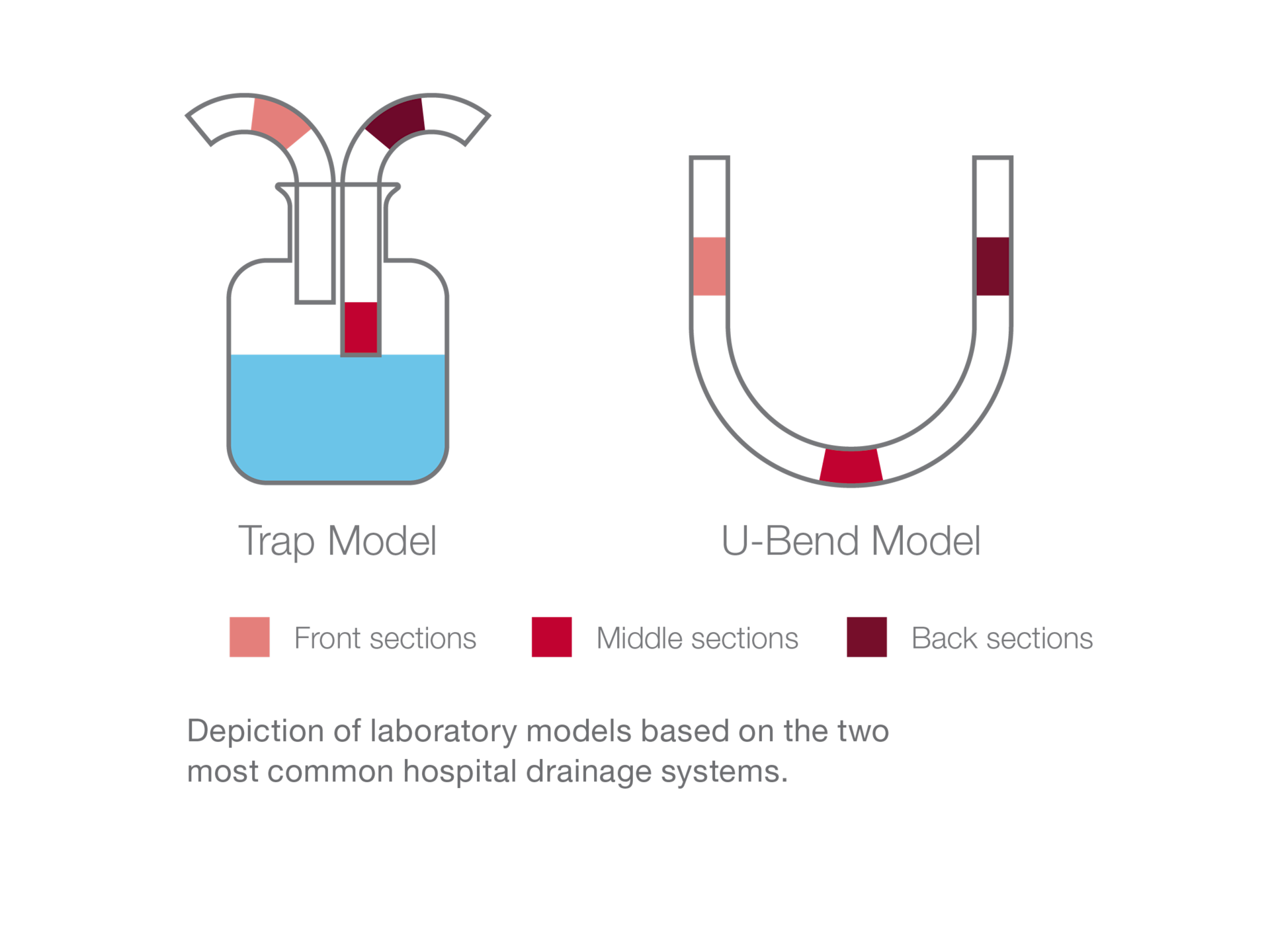 Biofilms and drains in healthcare...don’t let them sink in!