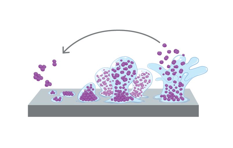 GAMA Healthcare Latest | The biofilm challenge for cleaning ...