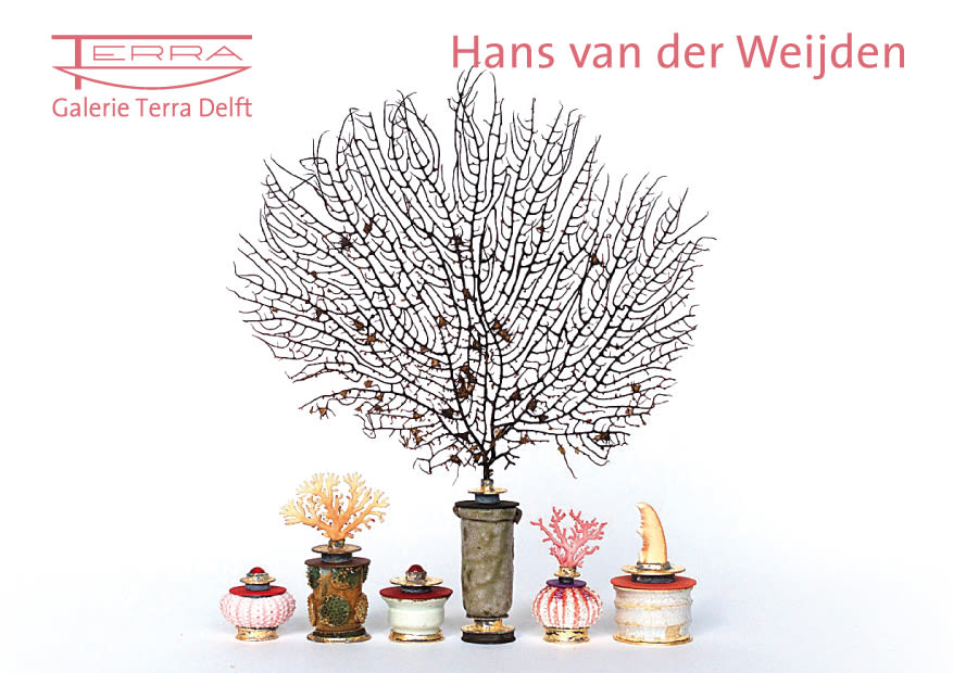 Terra Delft | Terra Delft