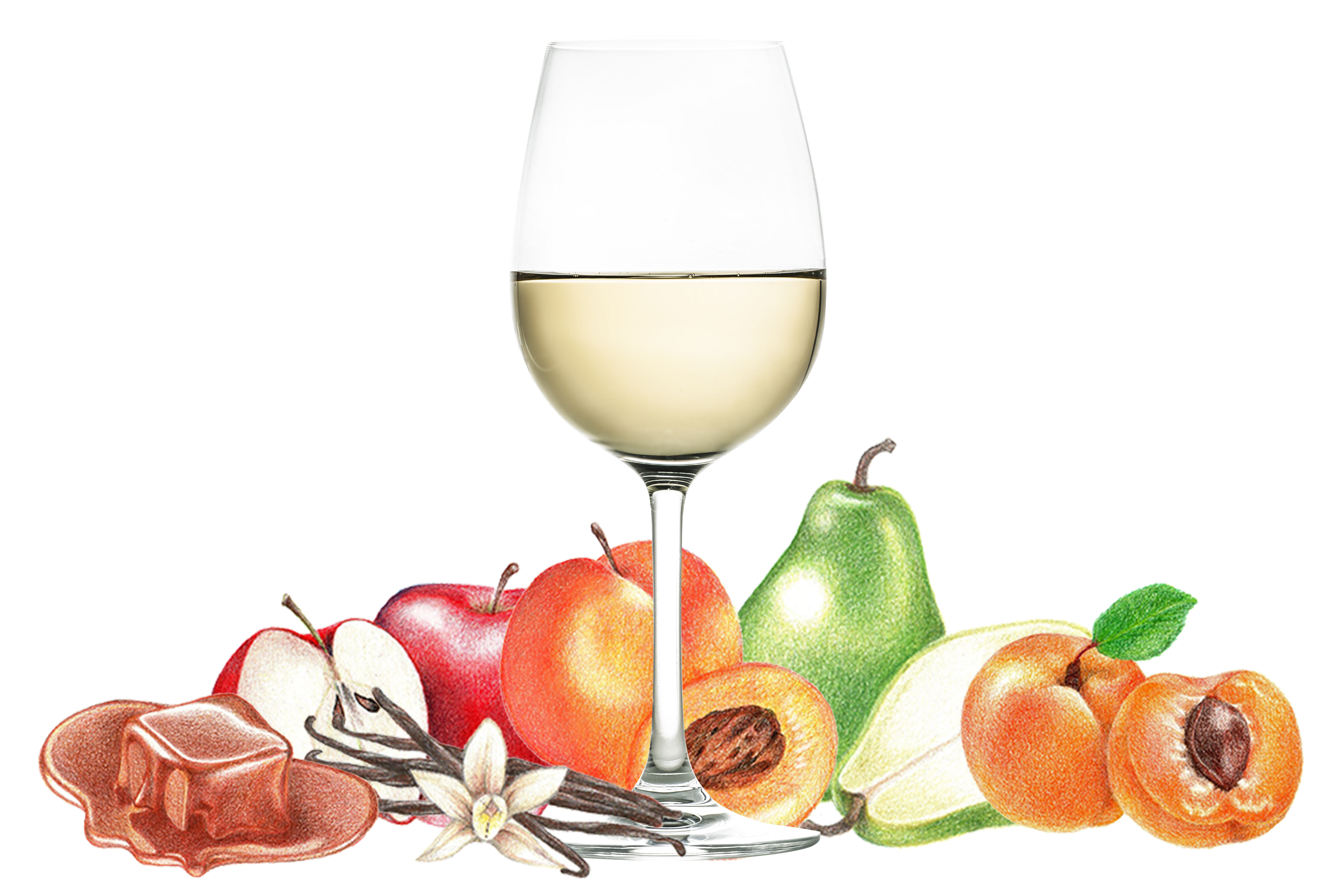 Ultimate Guide to Burgundy Wine