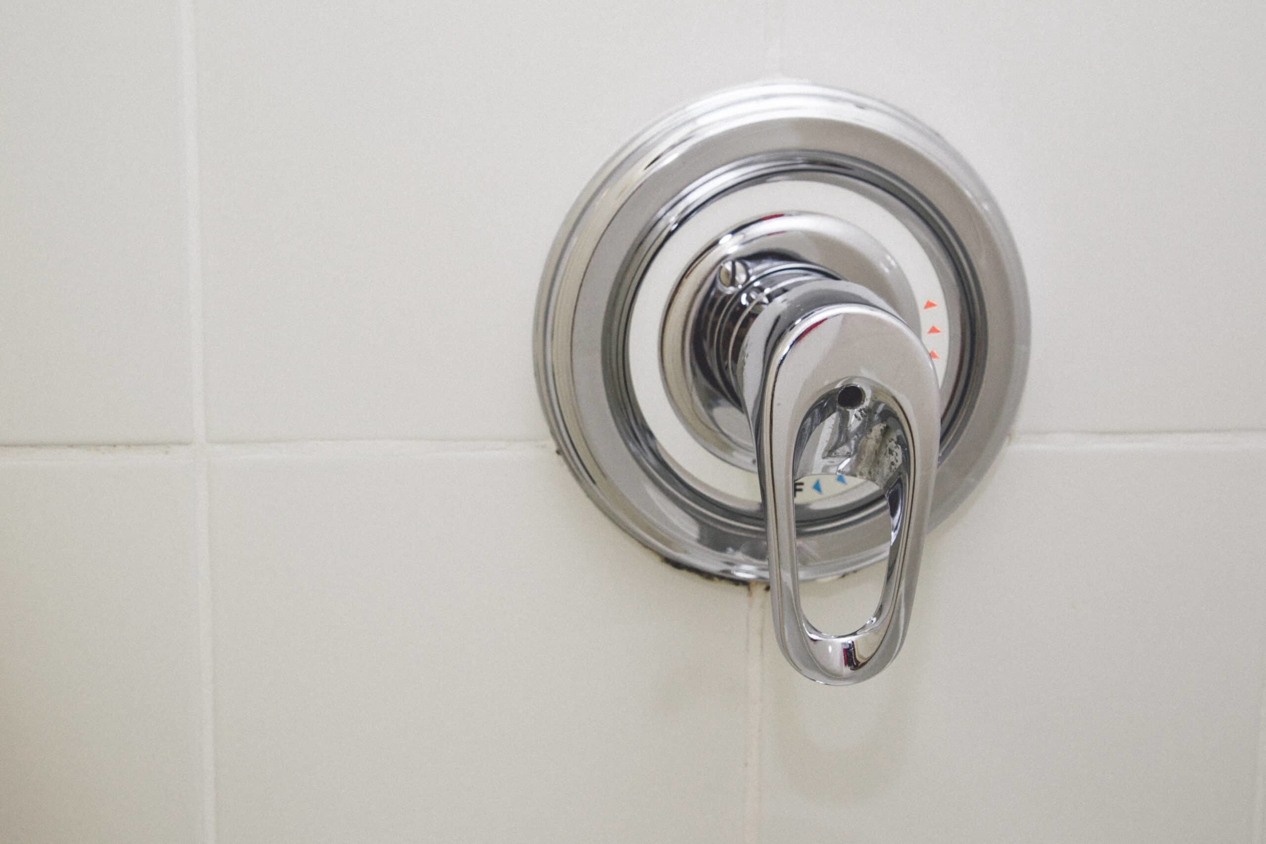 Need to Replace Your Shower Valve in Your Bathroom? Discover Costs and ...