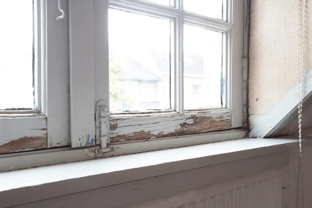 How to Repair and Prevent Dry Rot in Windows