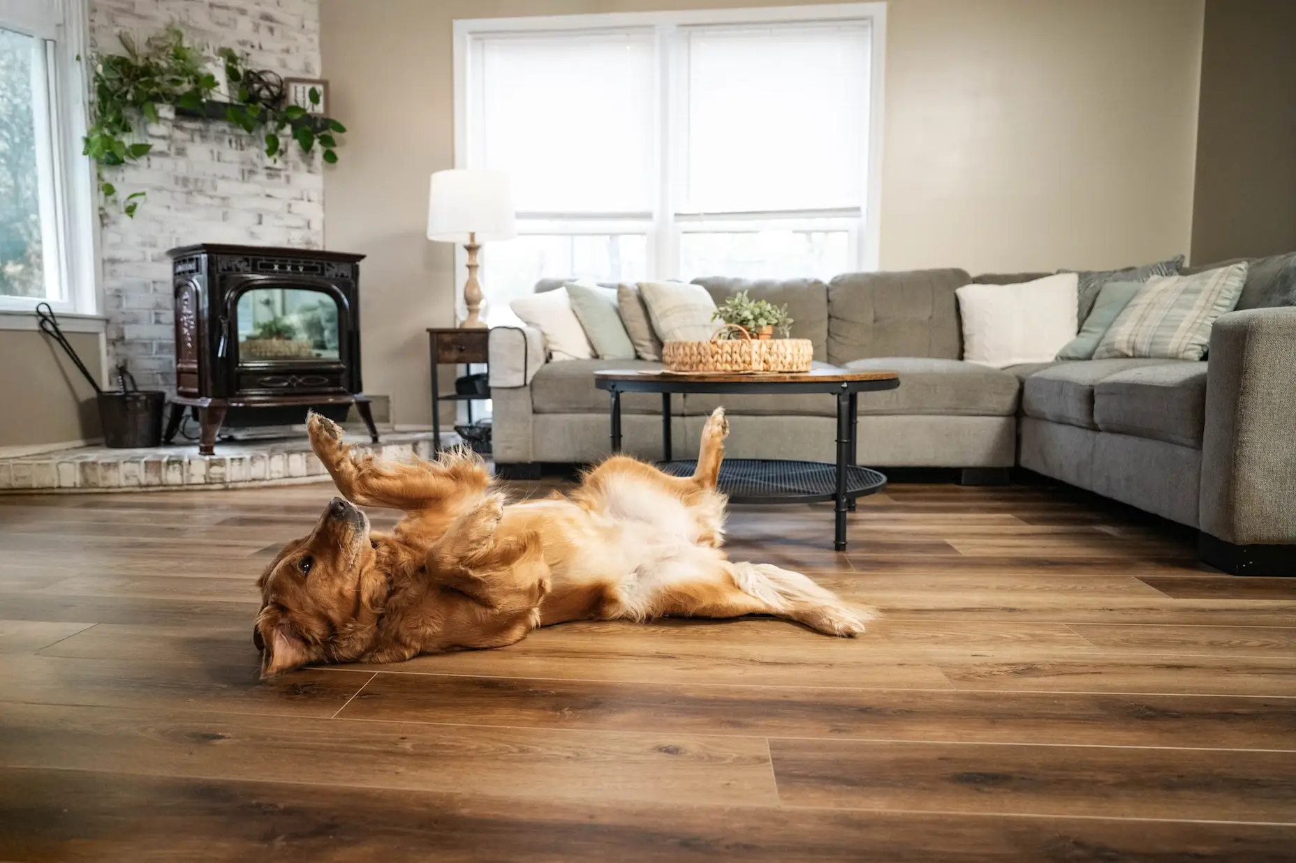Luxury Vinyl Tile Flooring Installation | West Shore Home
