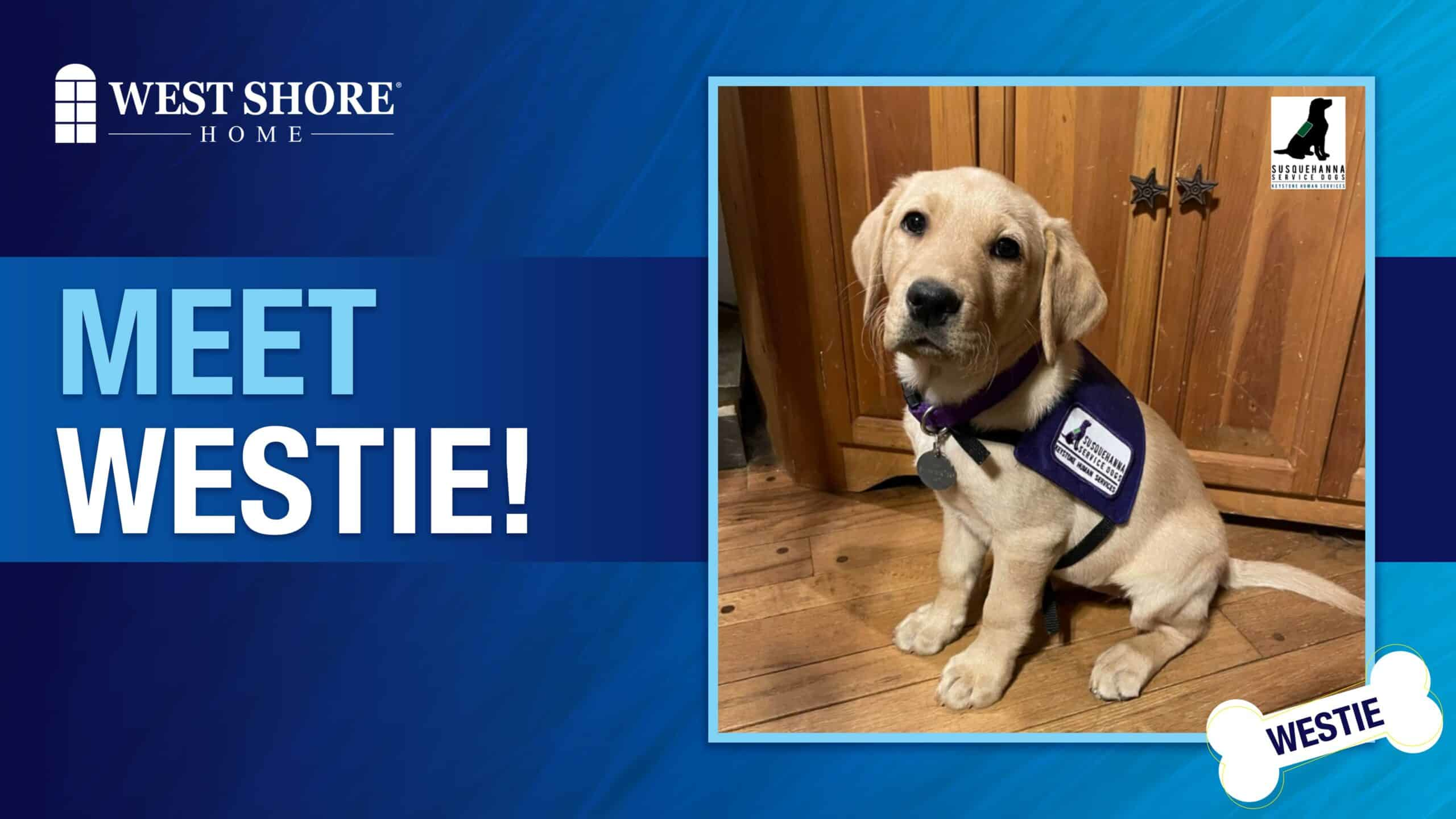 West Shore Home Partners with Susquehanna Service Dogs in Sponsoring an ...