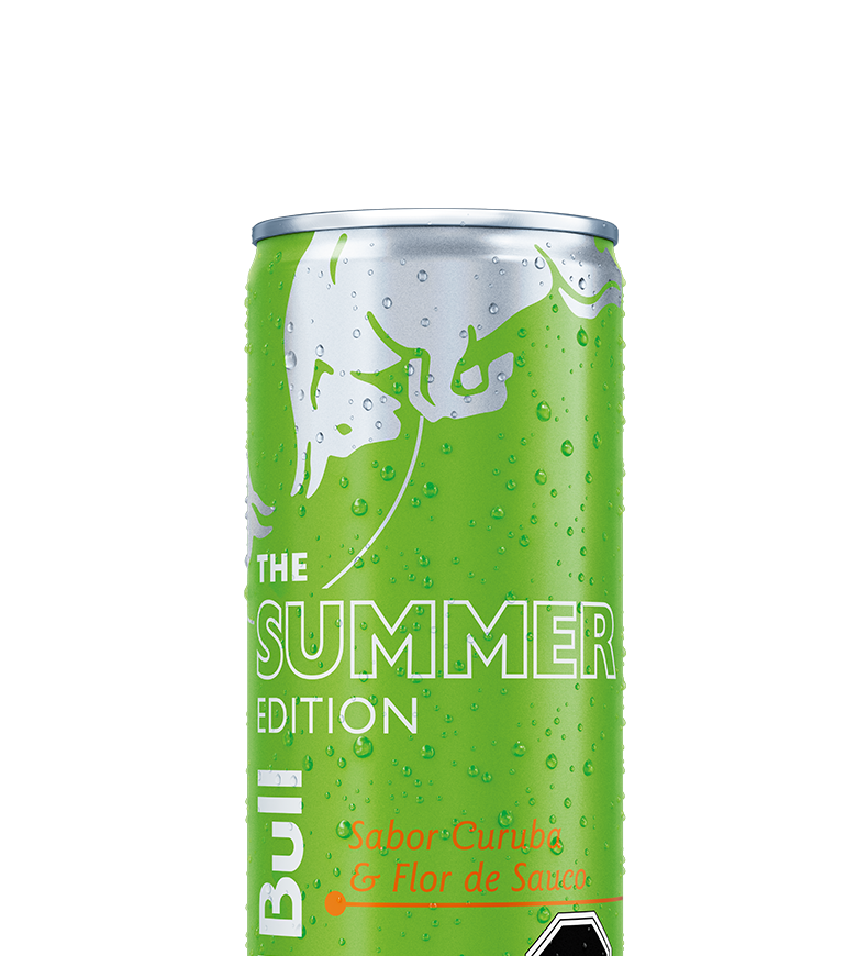 Red Bull Energy Drink