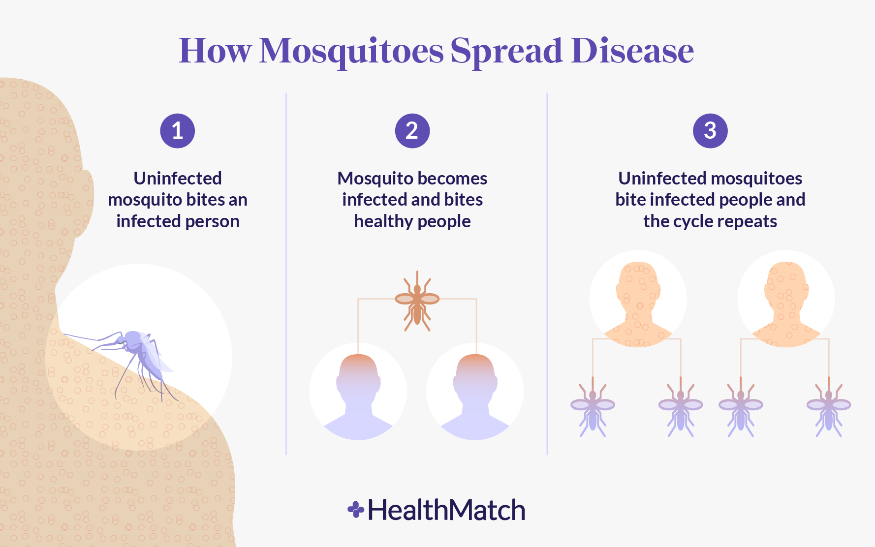 HealthMatch - How We’re Reducing Disease With Genetically Modified ...