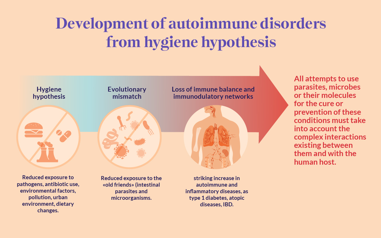 Hygiene Hypothesis PDF) The Hygiene Hypothesis And Darwinian Medicine