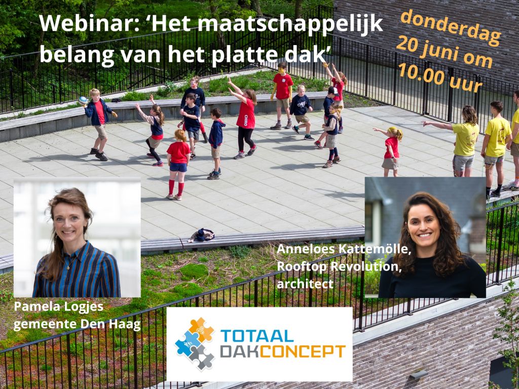 Webinar over het maatschappelijk belang van het platte dak | BMI Nederland