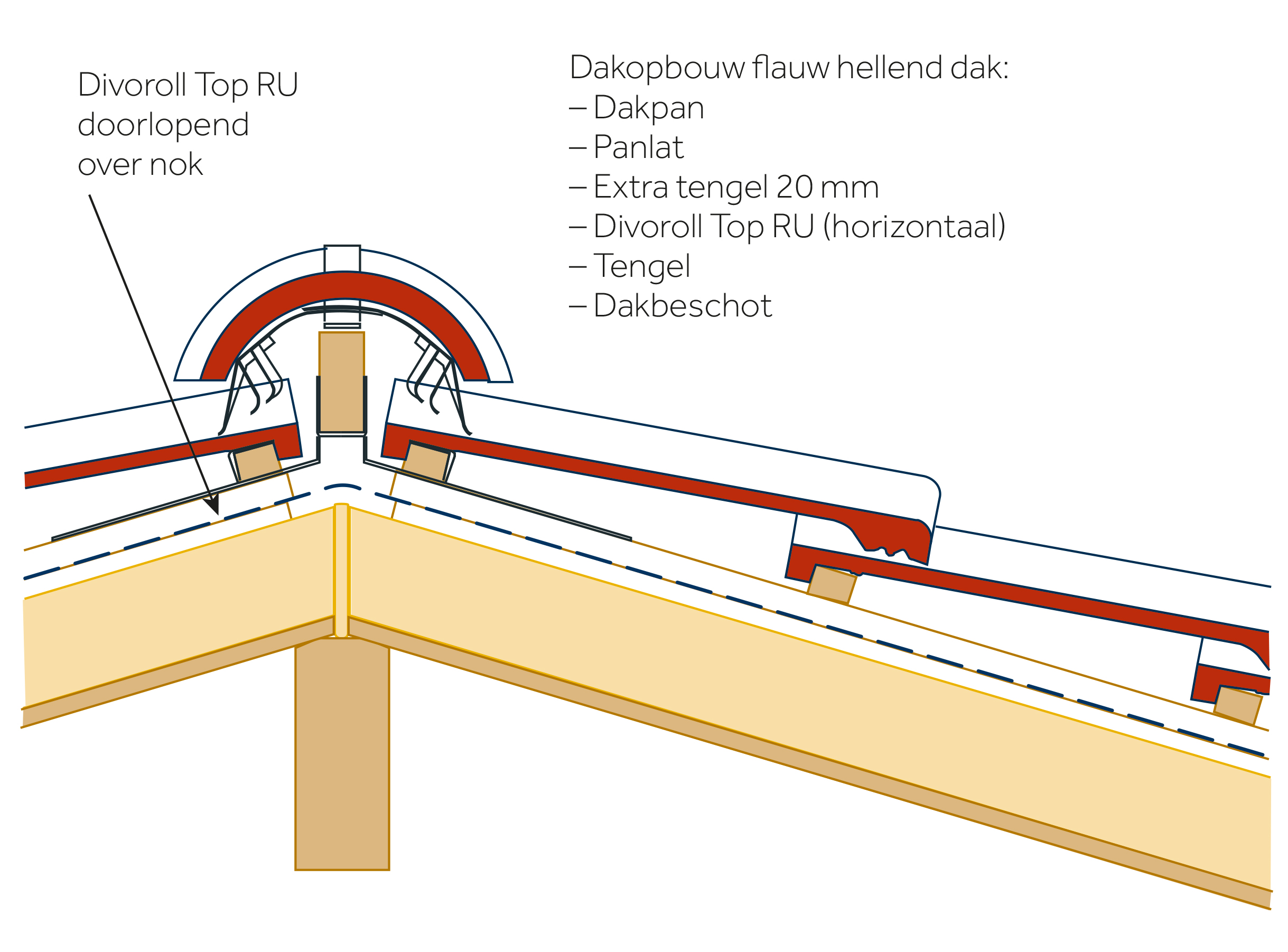 Daktermen | BMI Nederland