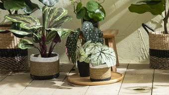 Opberger kopen? Bekijk onze opbergboxen, wandplanken en meer. | Leen Bakker