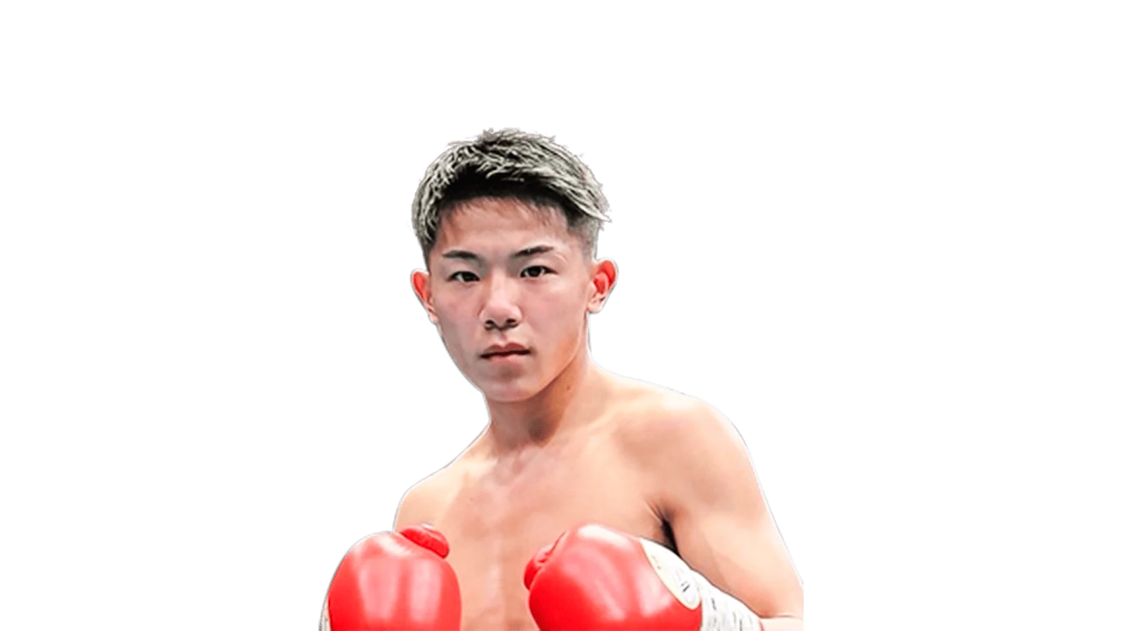 Kai Watanabe | The Ring