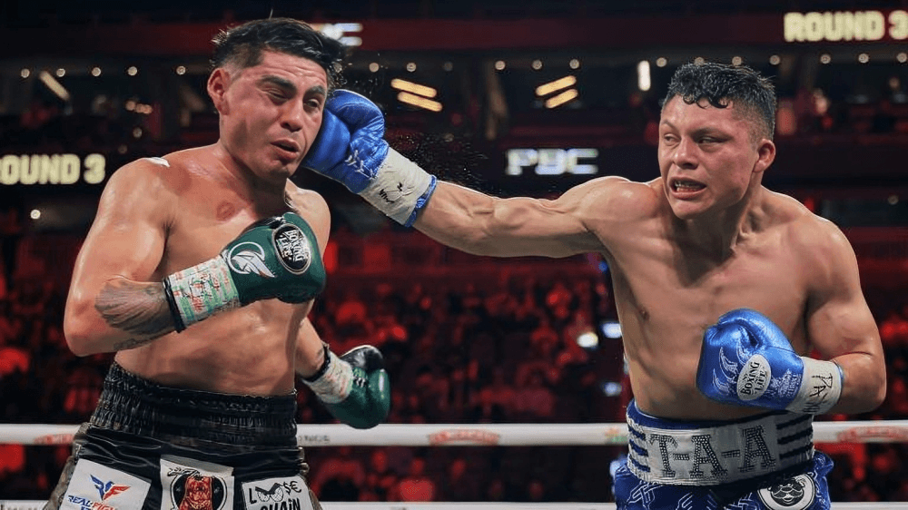 Isaac Cruz Envisions Teofimo Lopez, Alberto Puello Fights With More ...
