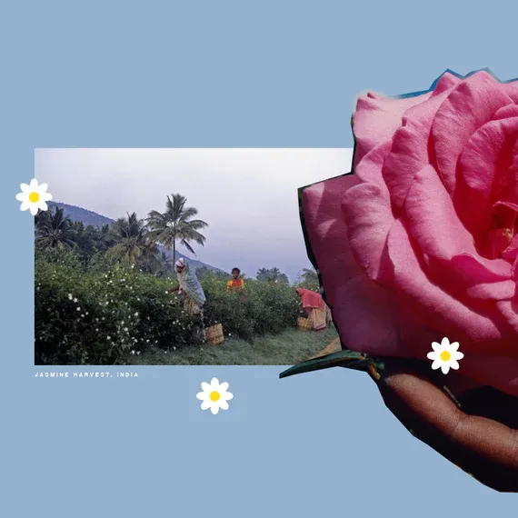 Small-Batch Sourcing, Direct from the Source | Monastery