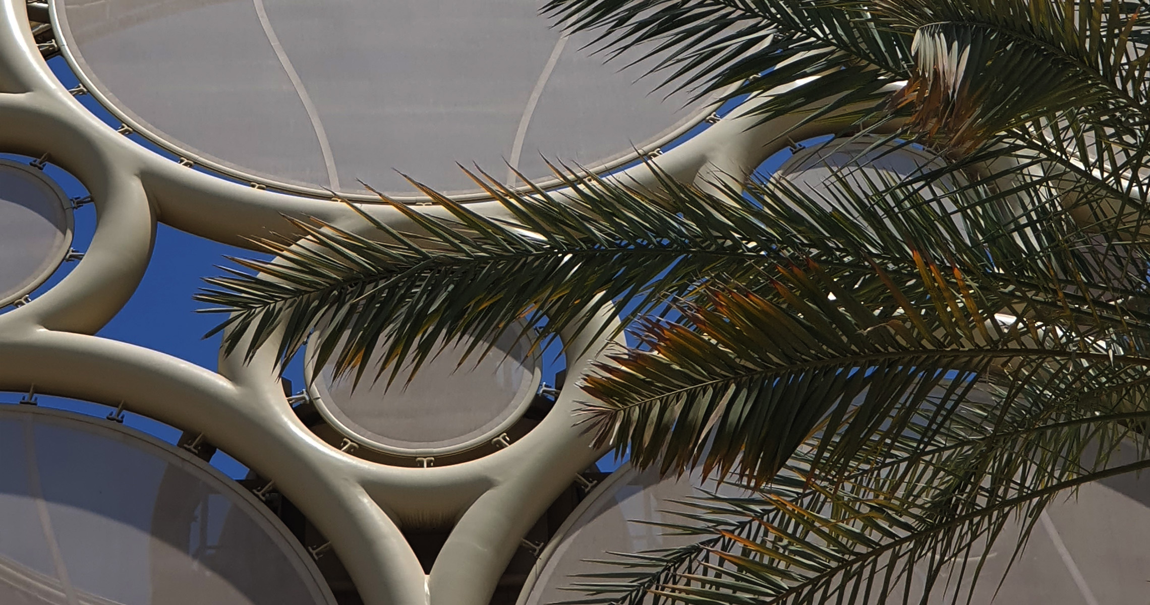 Expo City Dubai's blueprint for sustainable living