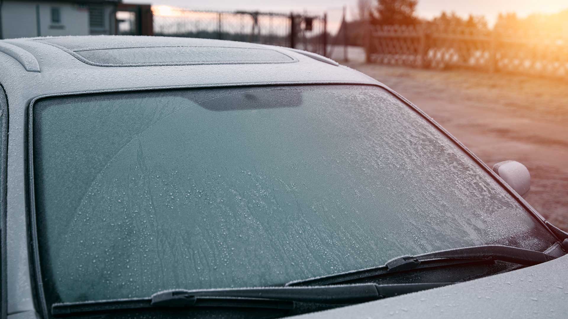 Woman's Simple Windscreen De-Icing Hack Is Blowing People's Minds | TOTUM