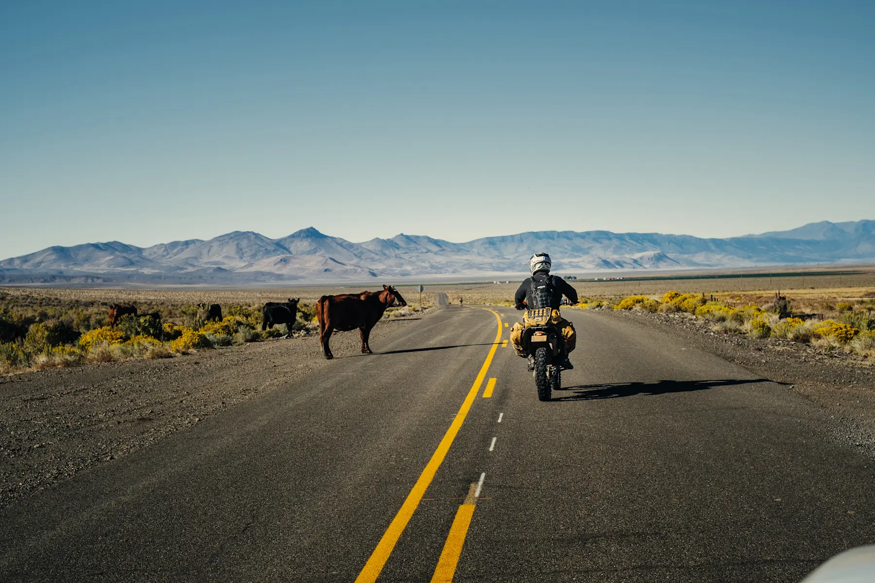 About - Info | Mosko Moto Marketplace