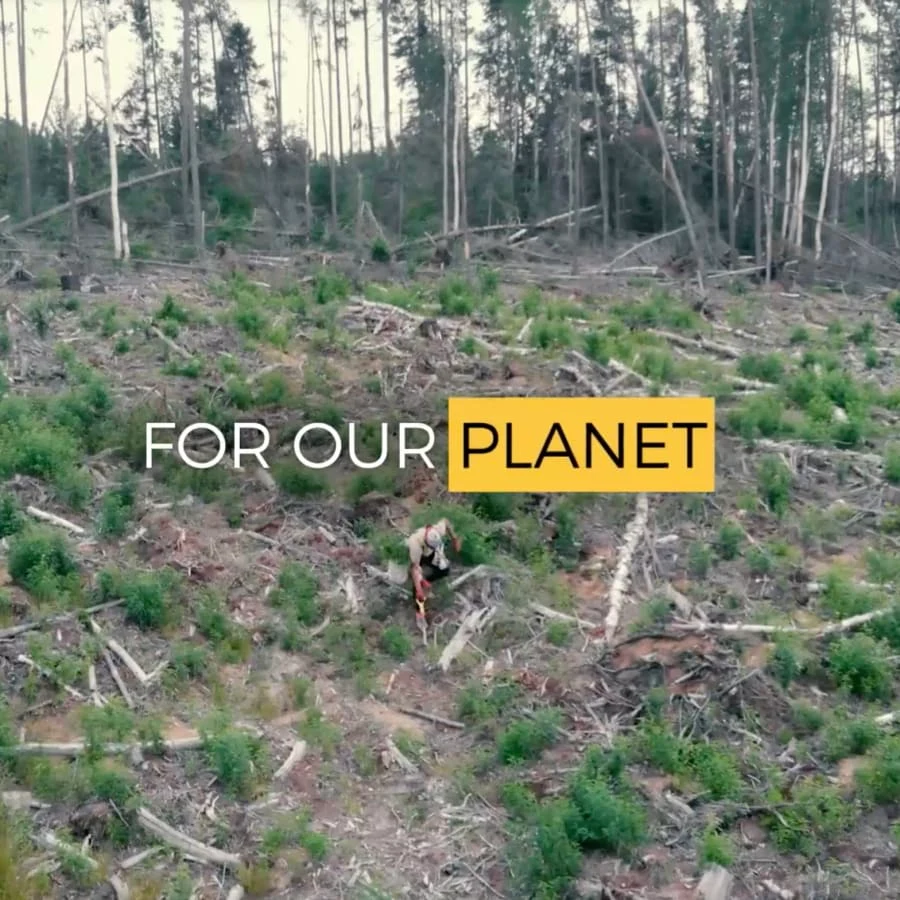 One Tree Planted | Reforestation Across Canada | Plexus Worldwide®