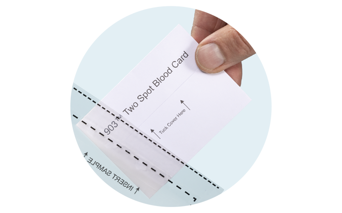 How to collect your blood sample