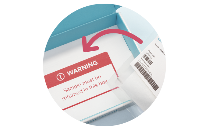 How to collect your blood sample