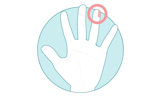 How to collect your blood sample