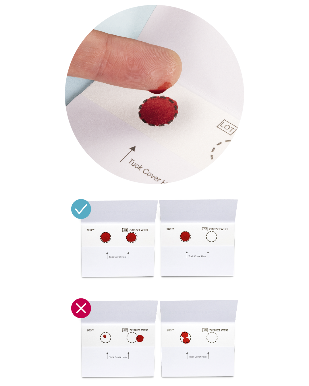 How to collect your blood sample