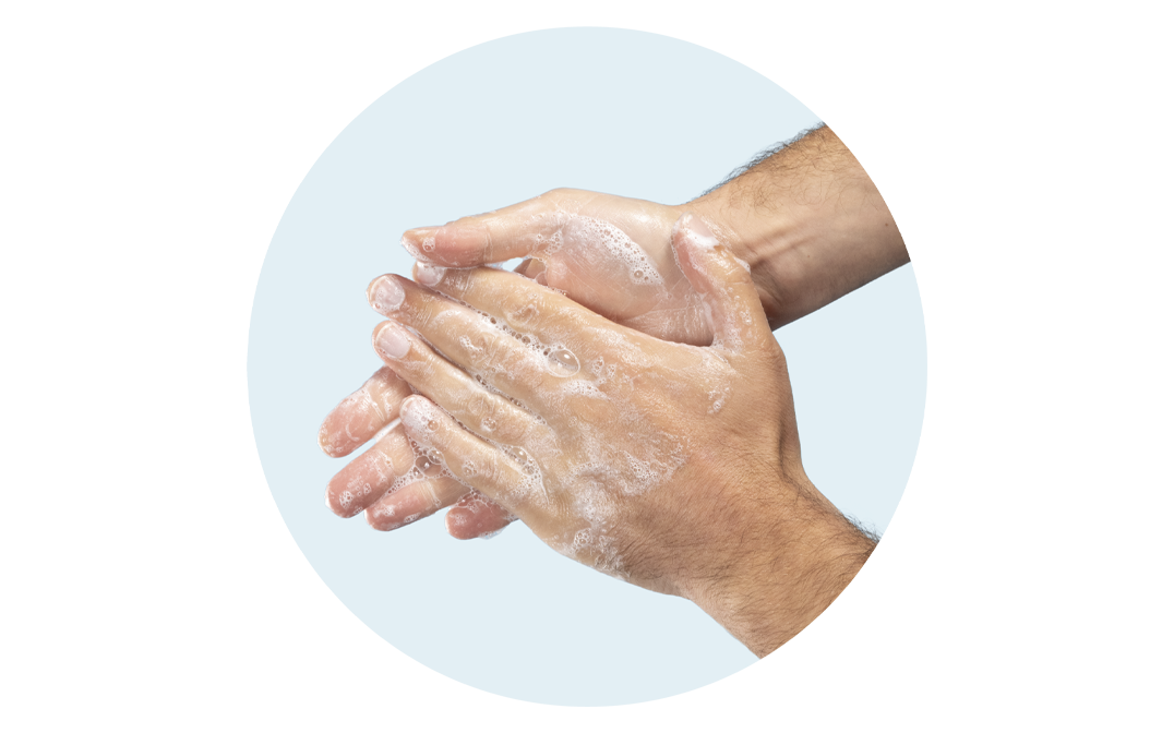 How to collect your blood sample