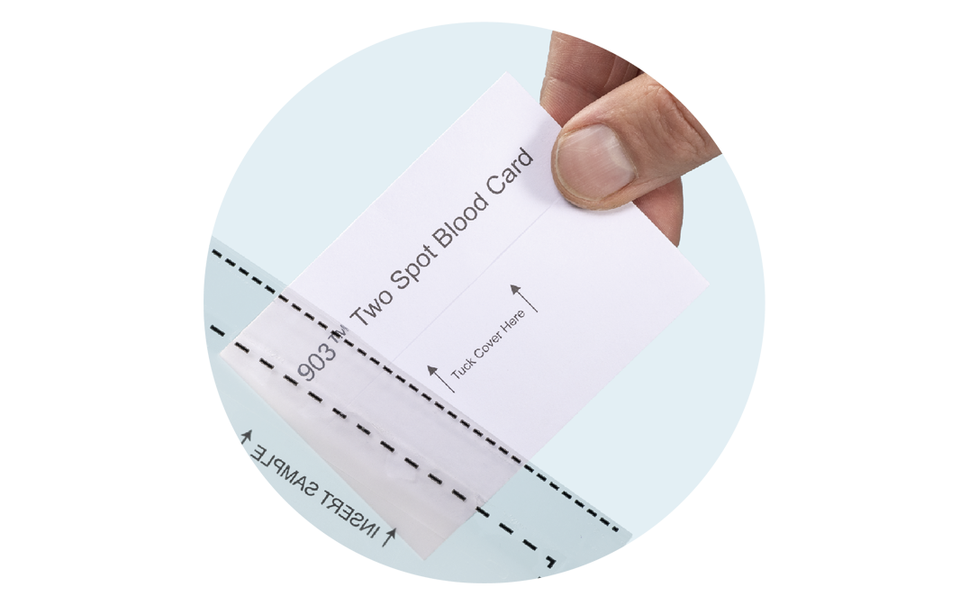 How to collect your blood sample