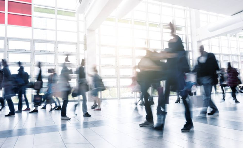 Bloomberg index business names Di Stefano as CEO