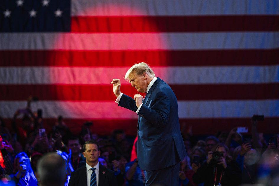 Trump trade war drags US stock market into correction territory