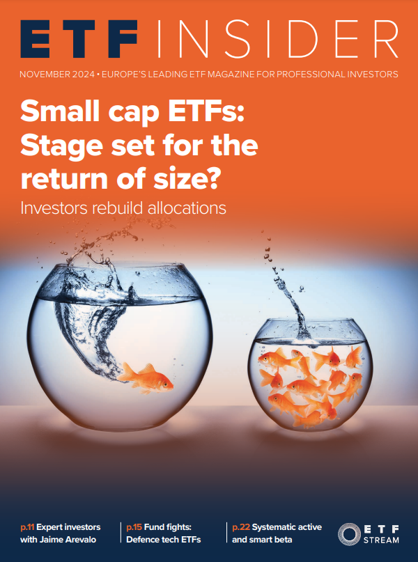ETF Insider - November 2024