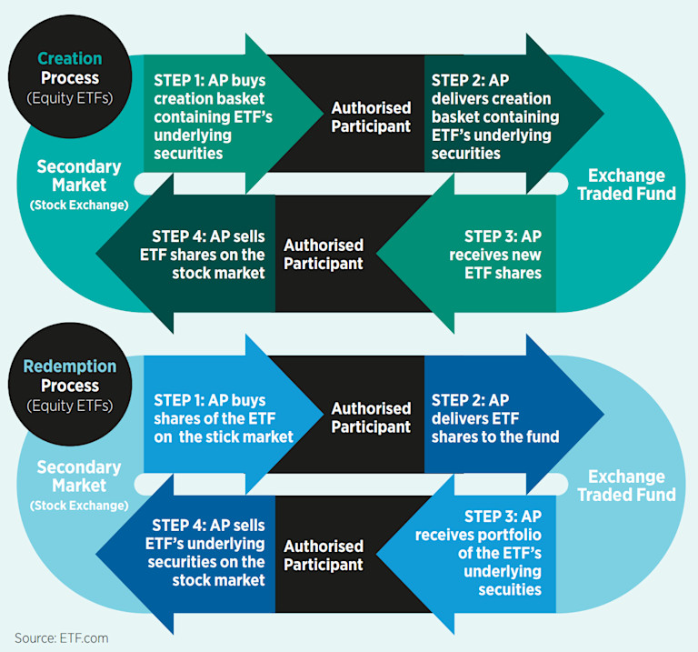 The role of authorised participants