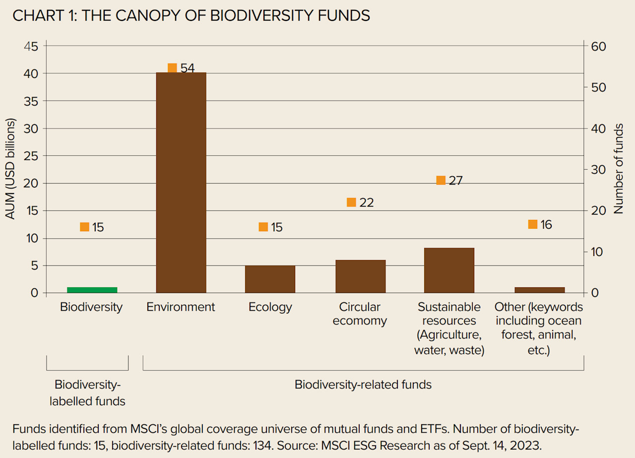 Biodiversity funds: Welcome to the jungle in 2024
