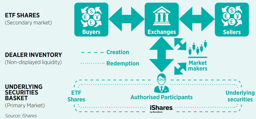The role of authorised participants
