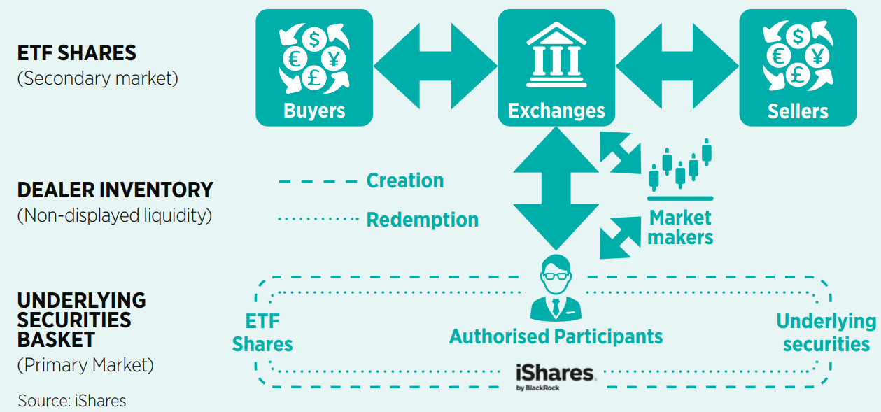 The role of authorised participants