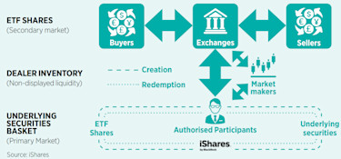 The role of authorised participants