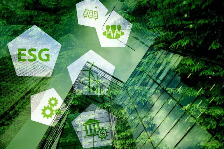 DWS ESG bonus scheme ‘a new form of greenwashing’, Greenpeace report warns