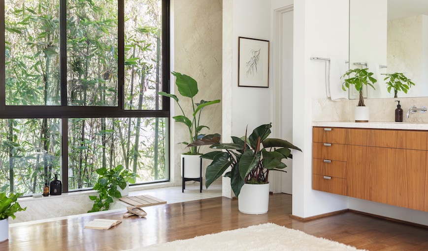 5 Ways to Style Your Plants, With Léon & George | Parachute