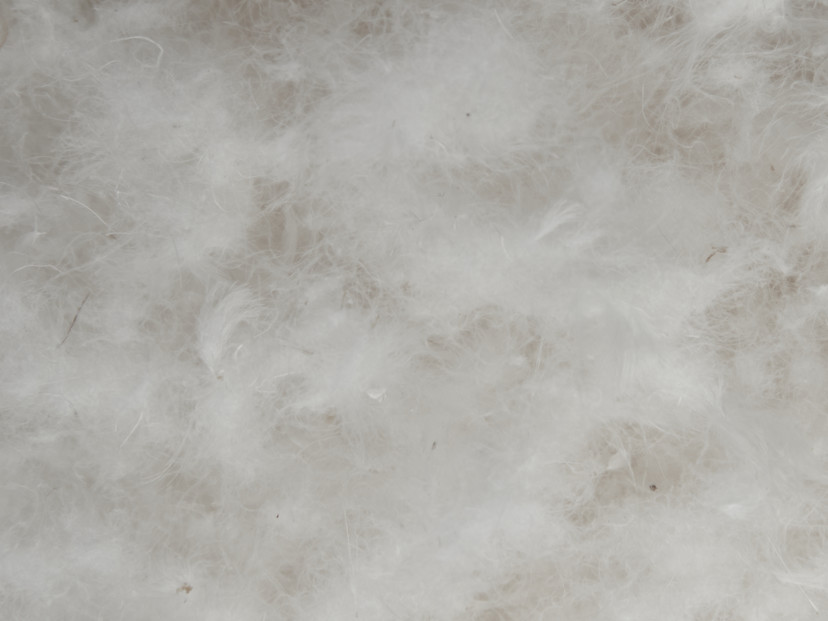 Down Mattress Topper | Parachute