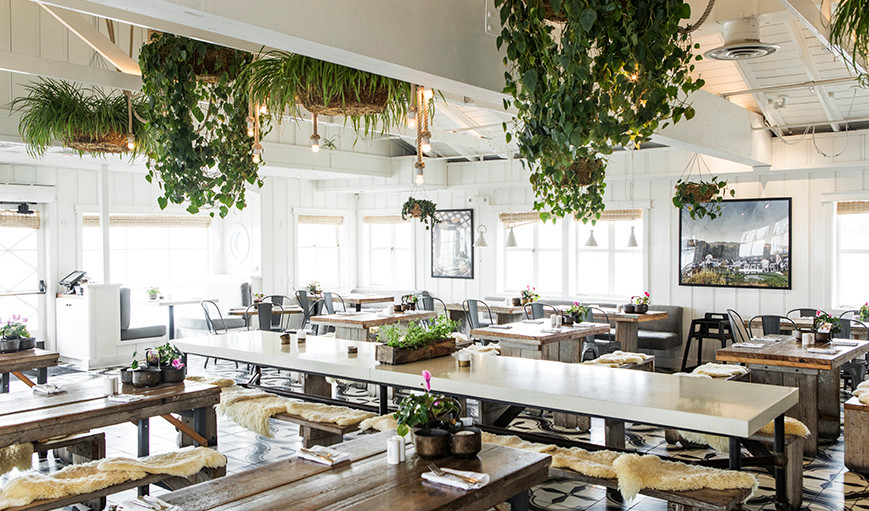 A Day in Malibu, With Helene Henderson of Malibu Farm | Parachute Blog