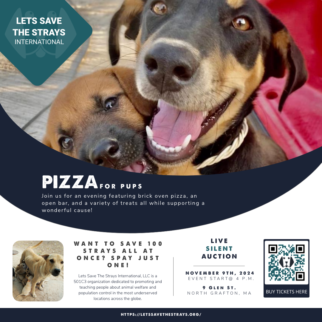 Global Animal Rescue & TNVR Programs | Lets Save the Strays International