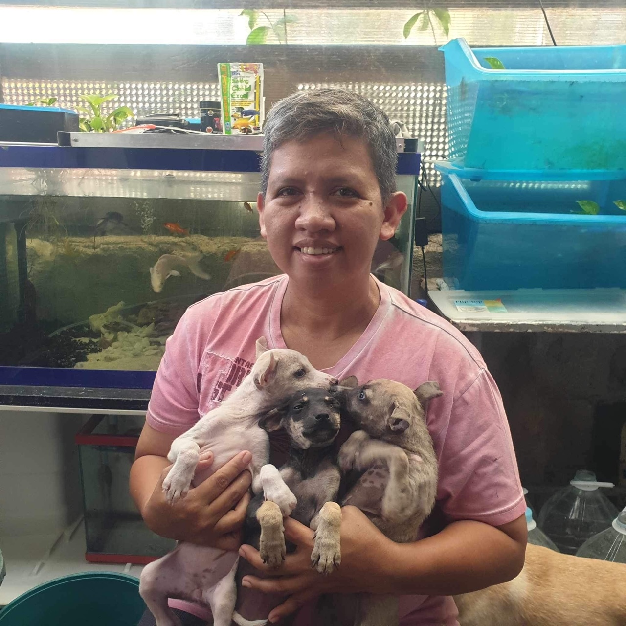 Global Animal Rescue & TNVR Programs | Lets Save the Strays International